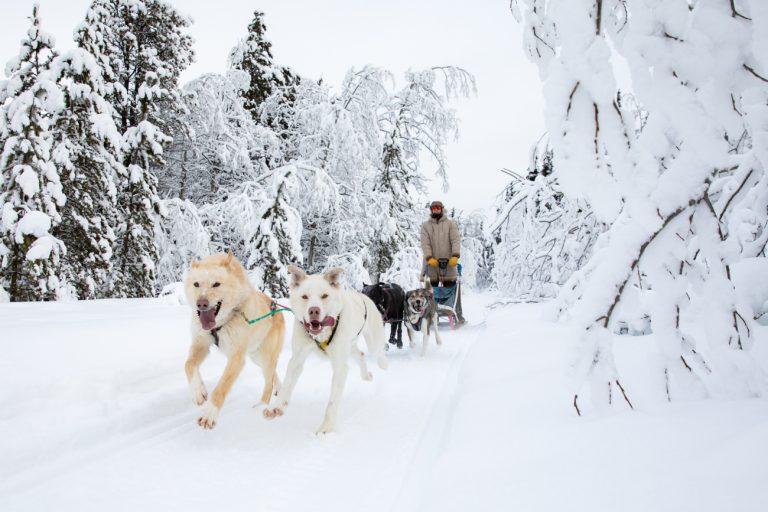 Info - Hotels Near Whitehorse Airport, Hotels Near Nelson - Atlin ...